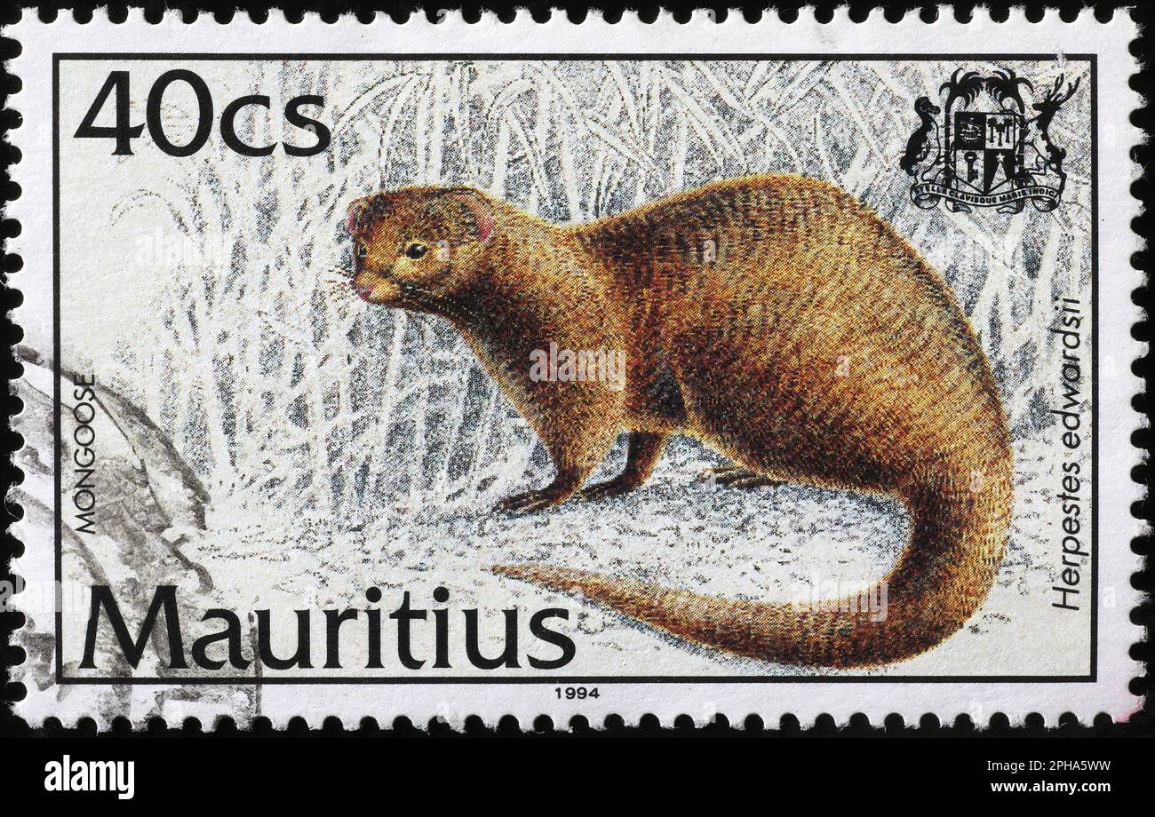 Mongoose on postage stamp of Mauritius Stock Photo - Alamy