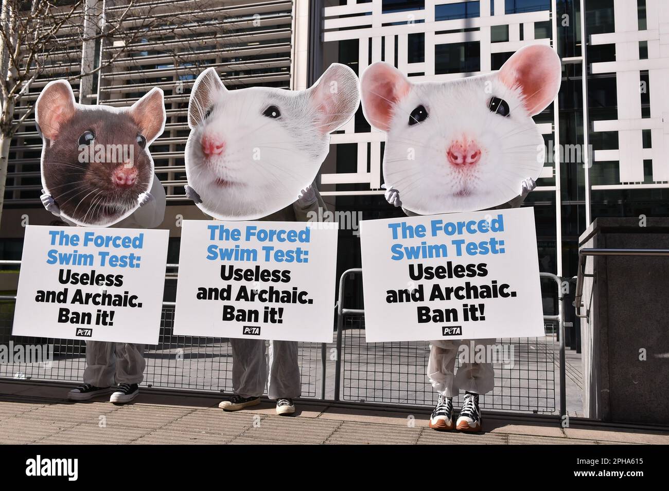 Rat swim test hi-res stock photography and images - Alamy