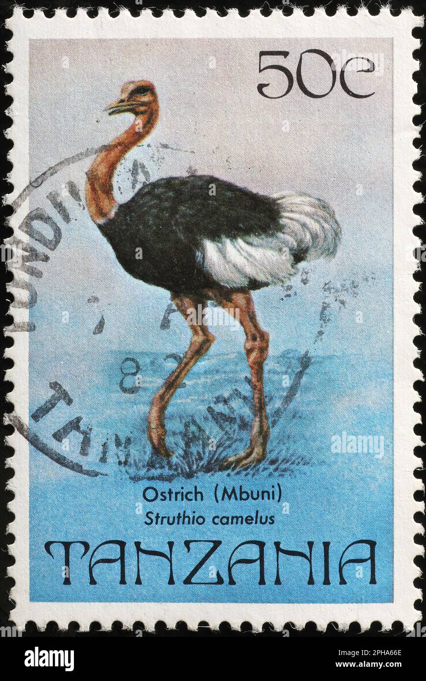 Ostrich portrait on postage stamp from Tanzania Stock Photo - Alamy
