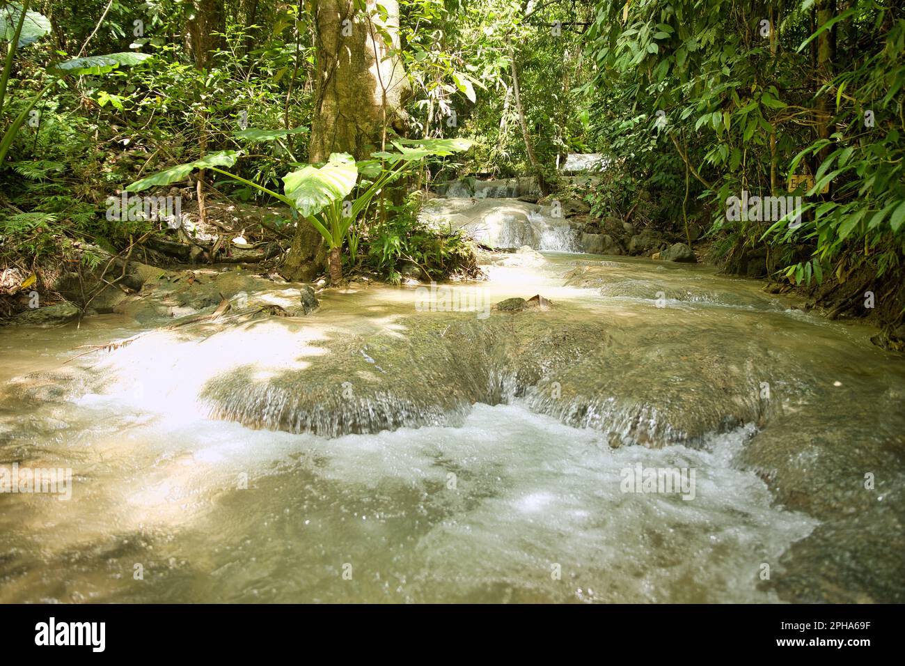 A stream at the idyllic Lugnason waterfalls in Siquijor in the ...