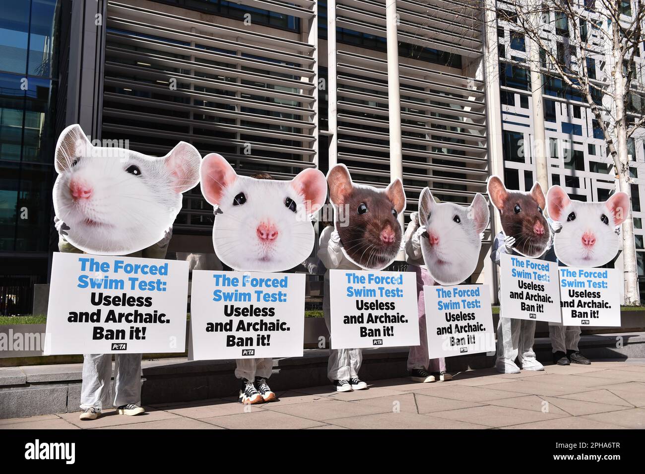 Rat swim test hi-res stock photography and images - Alamy