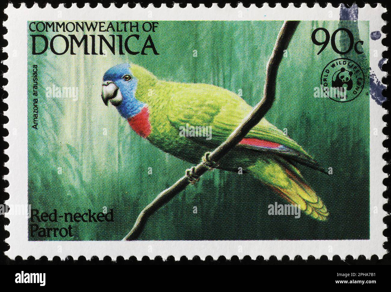 Ropics hi-res stock photography and images - Alamy