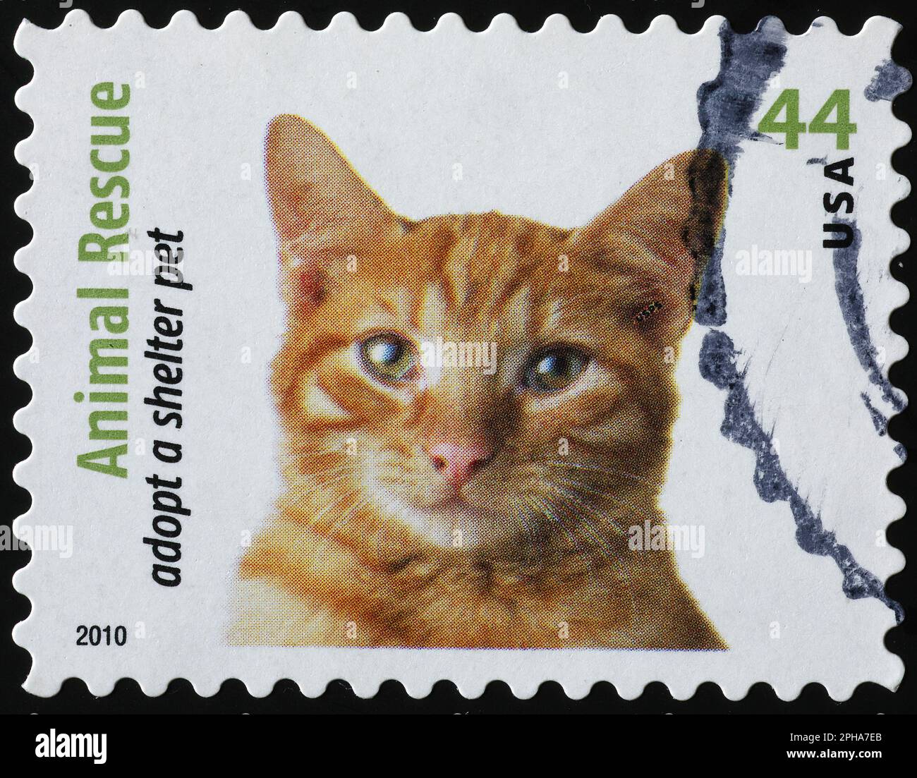 Postage cat hi-res stock photography and images - Alamy
