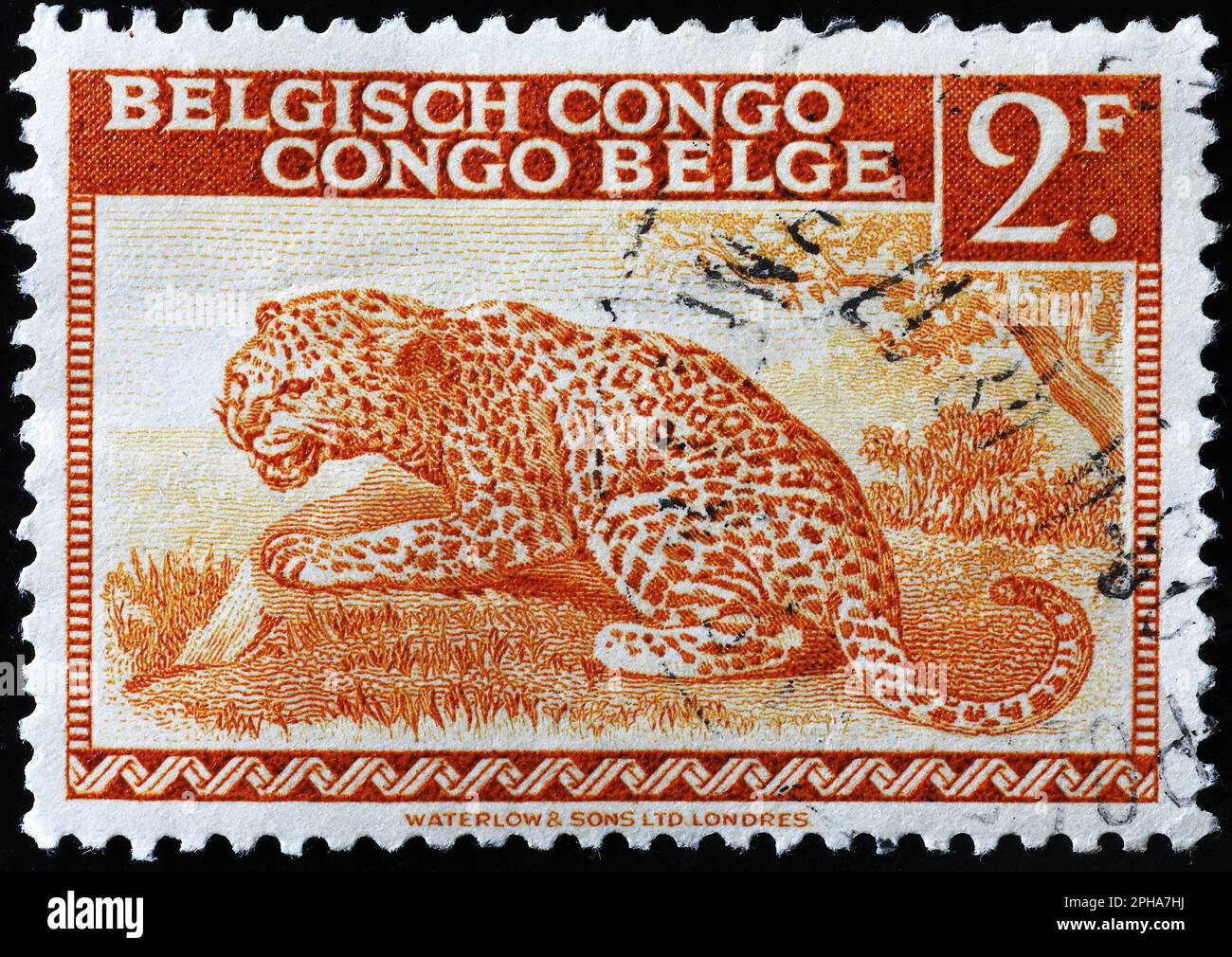 Roaring leopard on old african postage stamp Stock Photo - Alamy