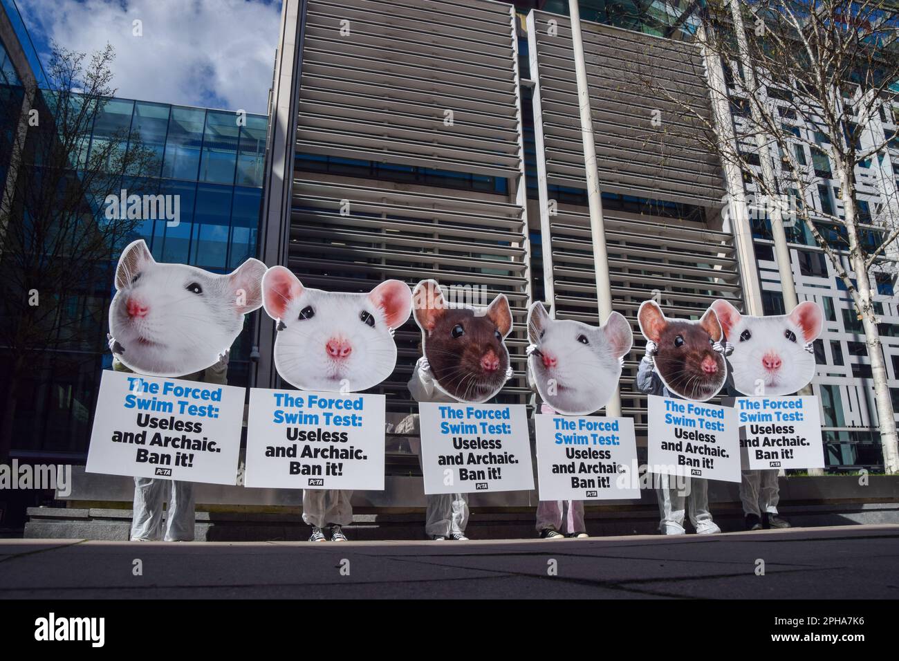 Rat swim test hi-res stock photography and images - Alamy