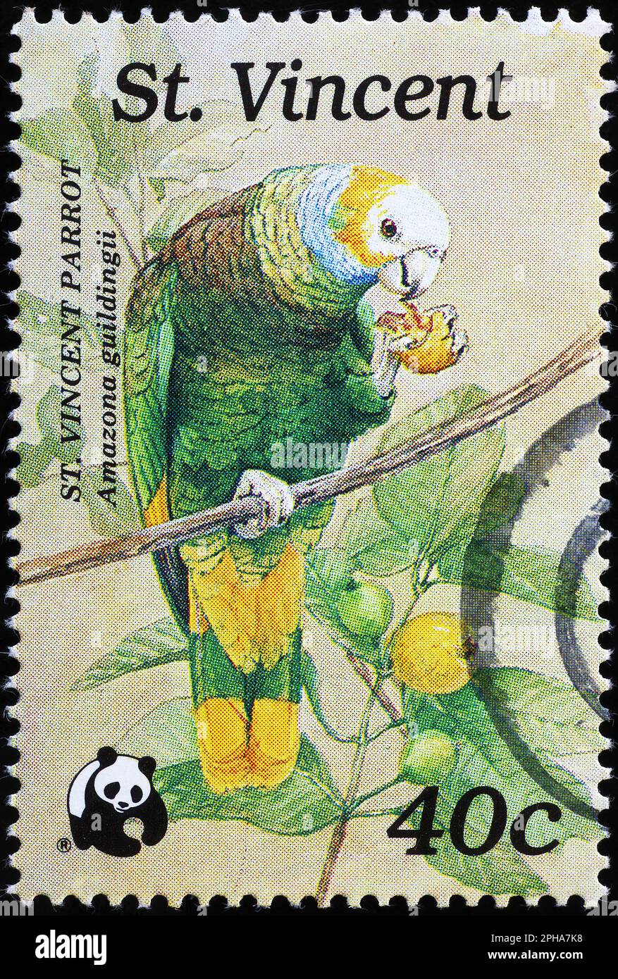 Saint Vincent parrot on postage stamp Stock Photo - Alamy