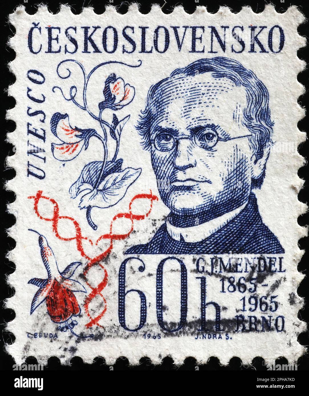 Gregor mendel hi-res stock photography and images - Alamy