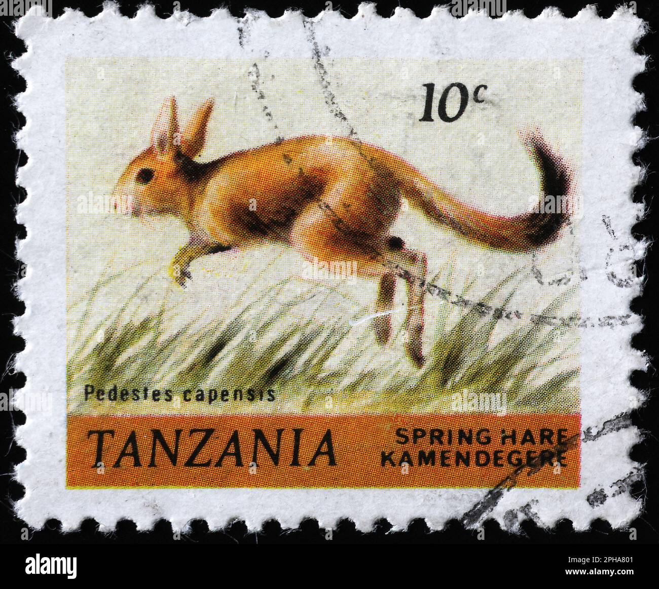 Spring hare on postage stamp of Tanzania Stock Photo - Alamy