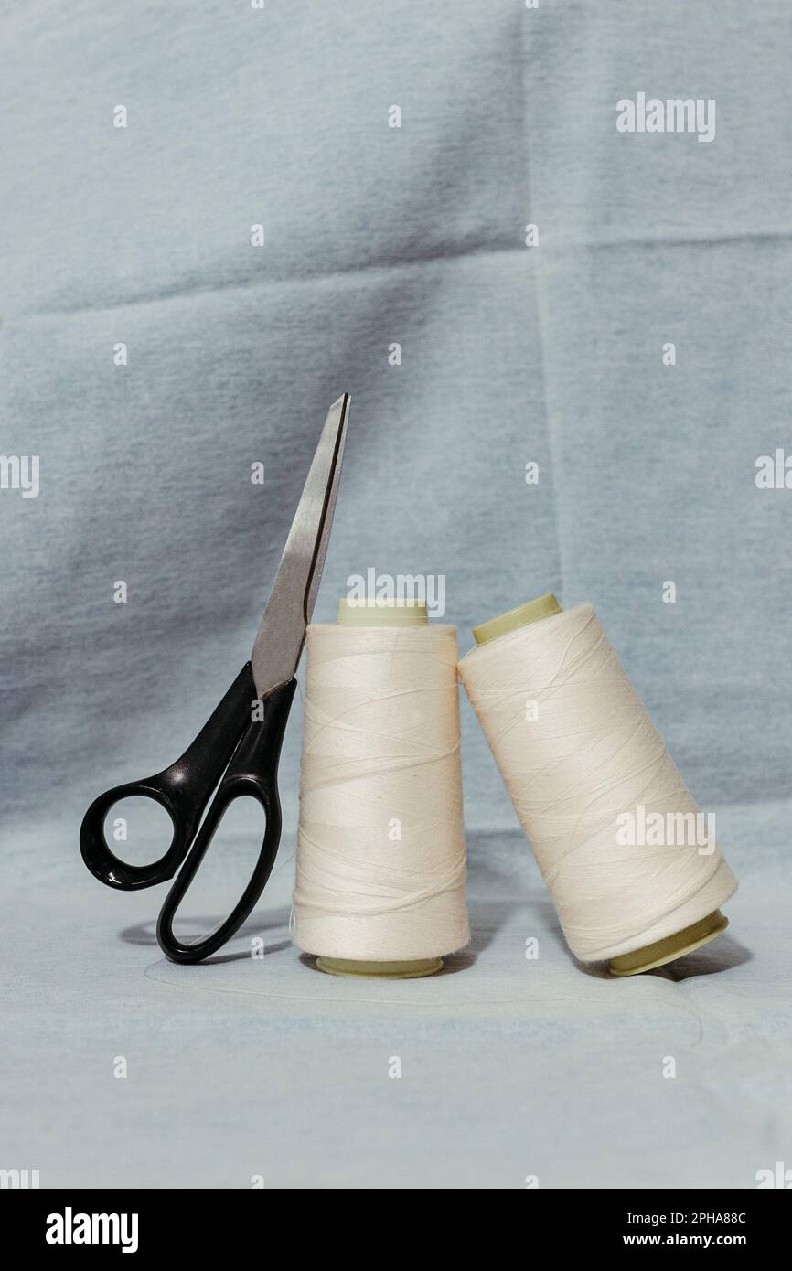A pair of scissors and a spool of thread sitting side by side Stock ...