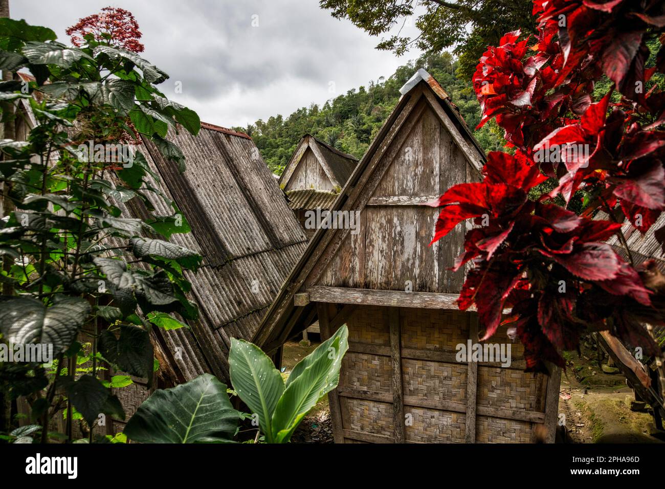 daily life in a village of West Java, Indonesia, Asia Stock Photo - Alamy