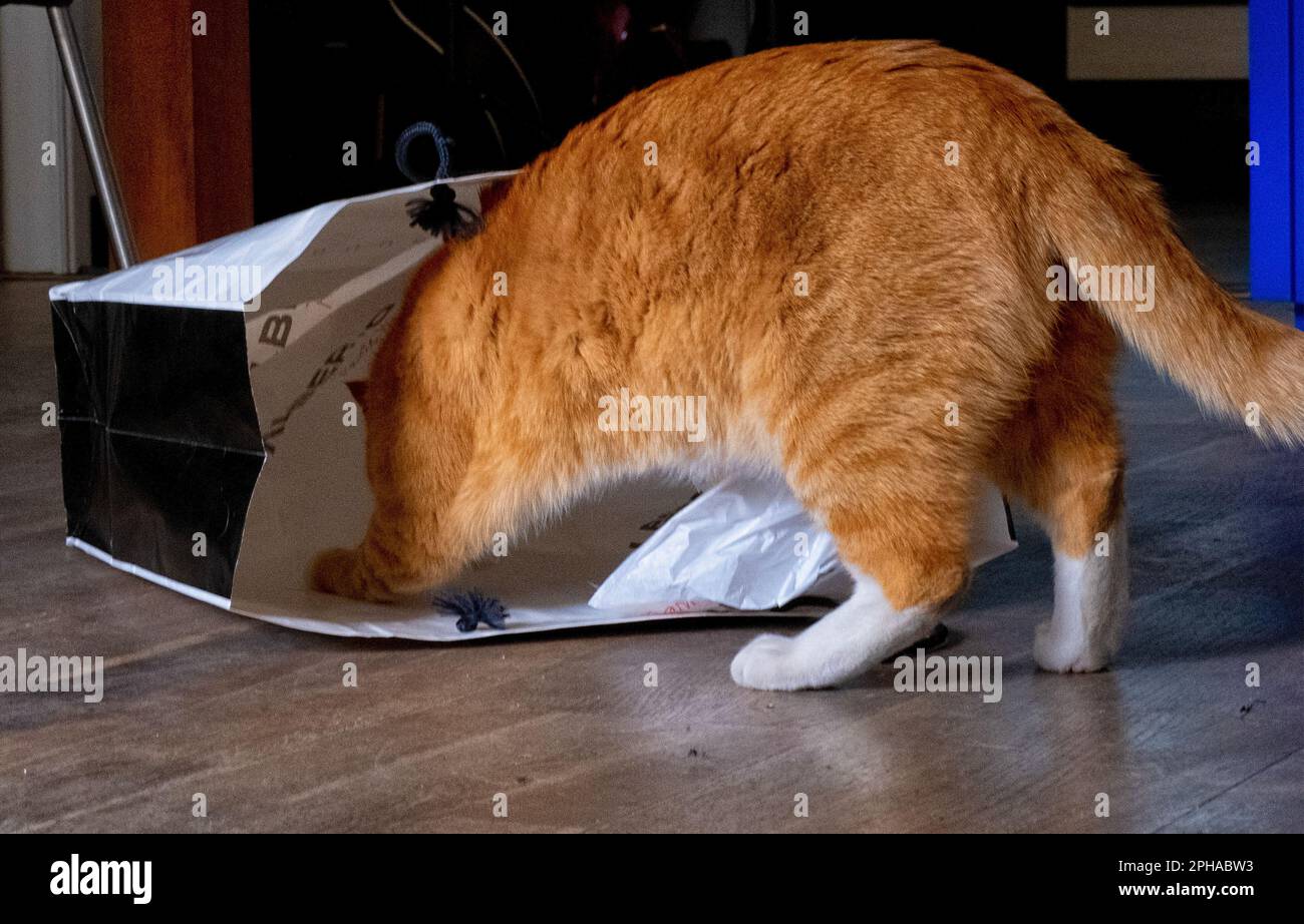 Getting paper hi-res stock photography and images - Alamy
