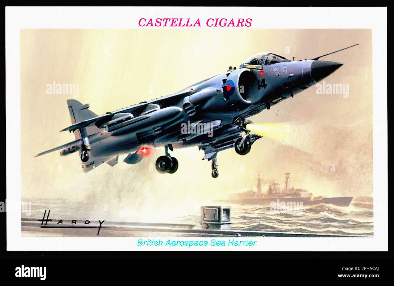 Sea Harrier - Vintage Cigar Card Stock Photo - Alamy