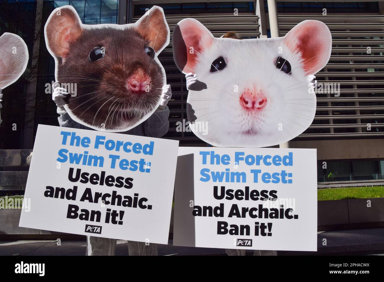 Peta protest animal experiments hi-res stock photography and images - Alamy