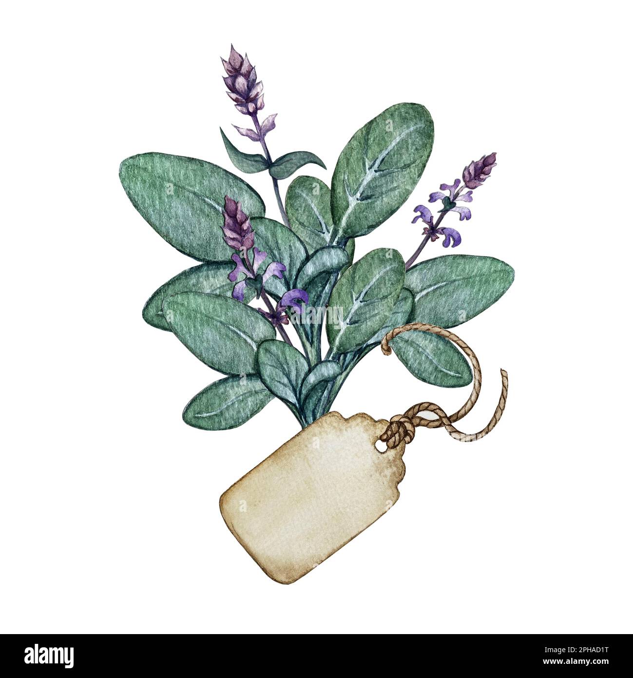 composition of sage and tag Stock Photo - Alamy