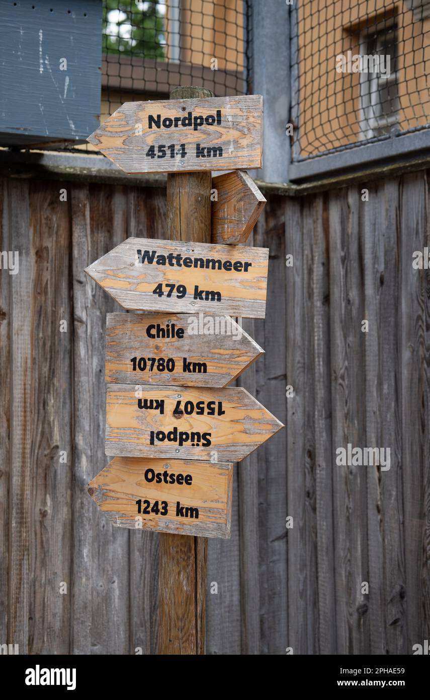 A variety of directional signs pointing in different directions ...