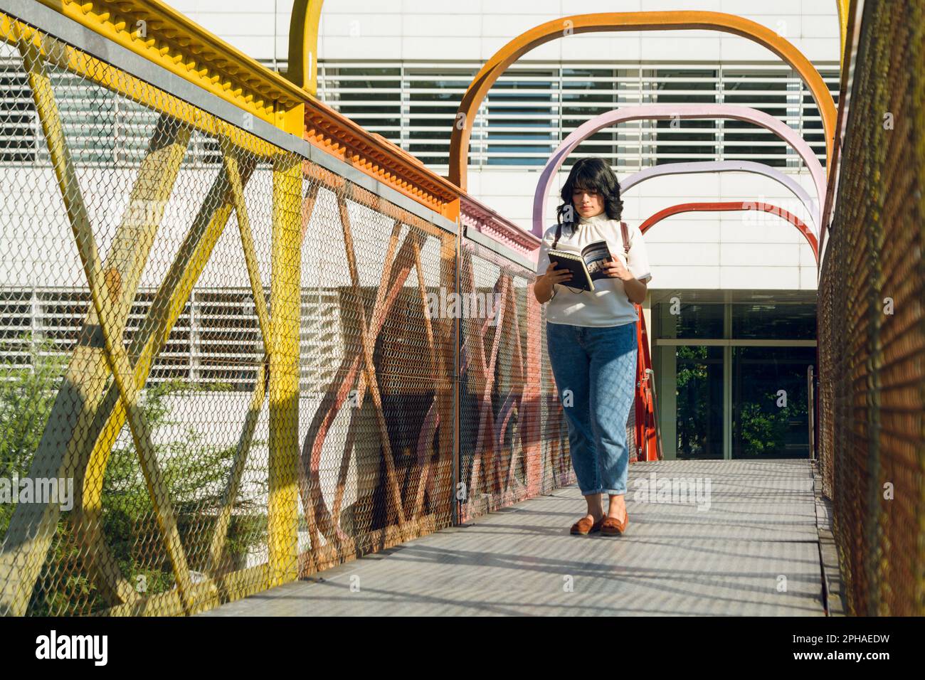 young college student woman, walking on footbridge in college, reading ...