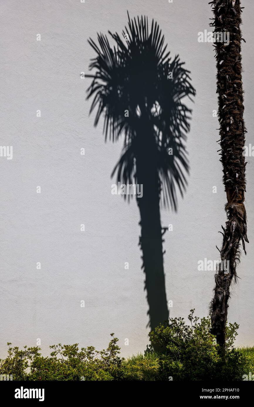 Palm tree symbolism hi-res stock photography and images - Alamy