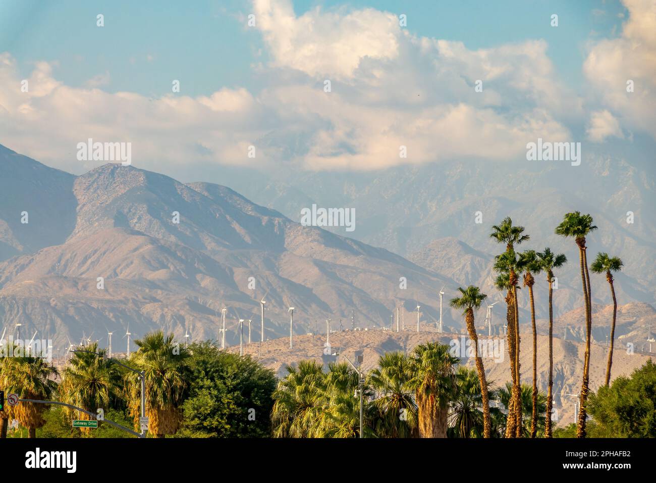 Palm trees and wind turbiness on the mountain in Palm Springs ...
