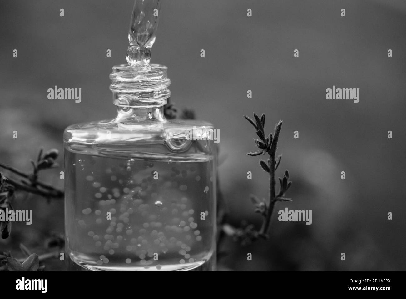 Glass dropper bottle natural Black and White Stock Photos & Images - Alamy
