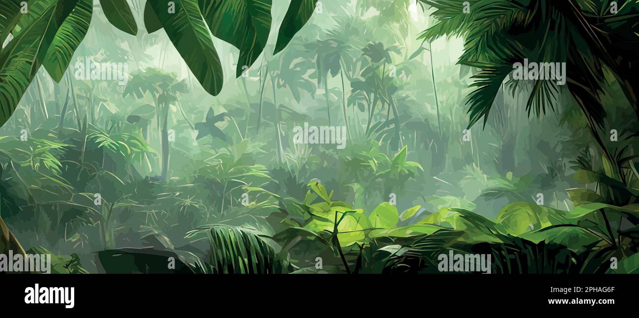 Tropical Rainforest Drawing With Color