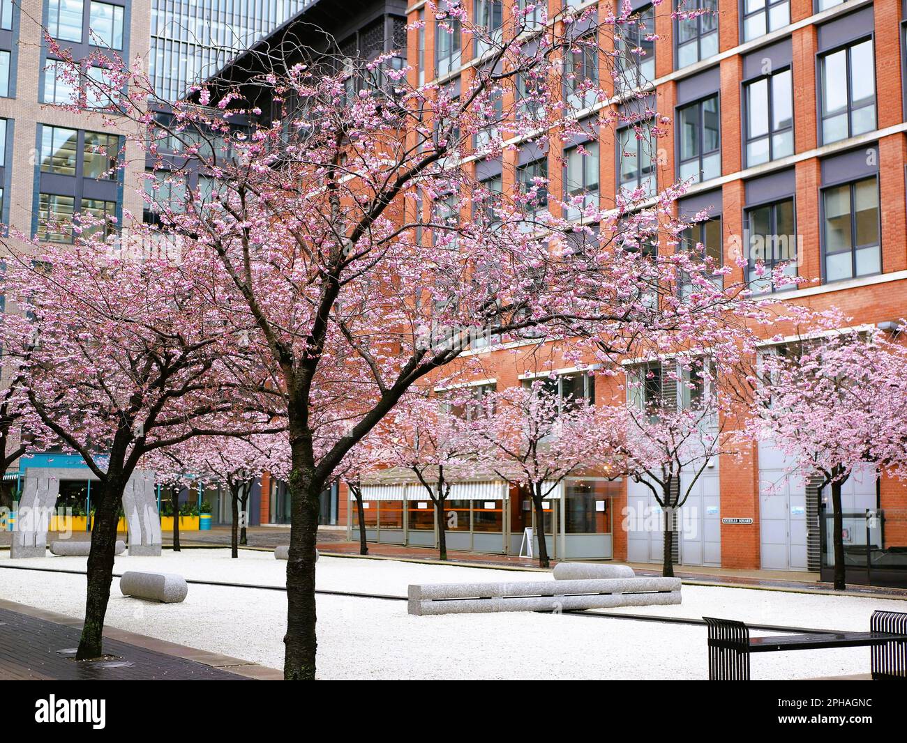Visiting Birmingham UK,The Ikon Gallery Stock Photo - Alamy