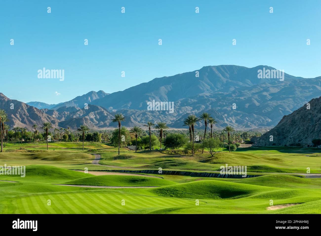 Green lawn and palm trees on a golf course in Palm Springs, California ...