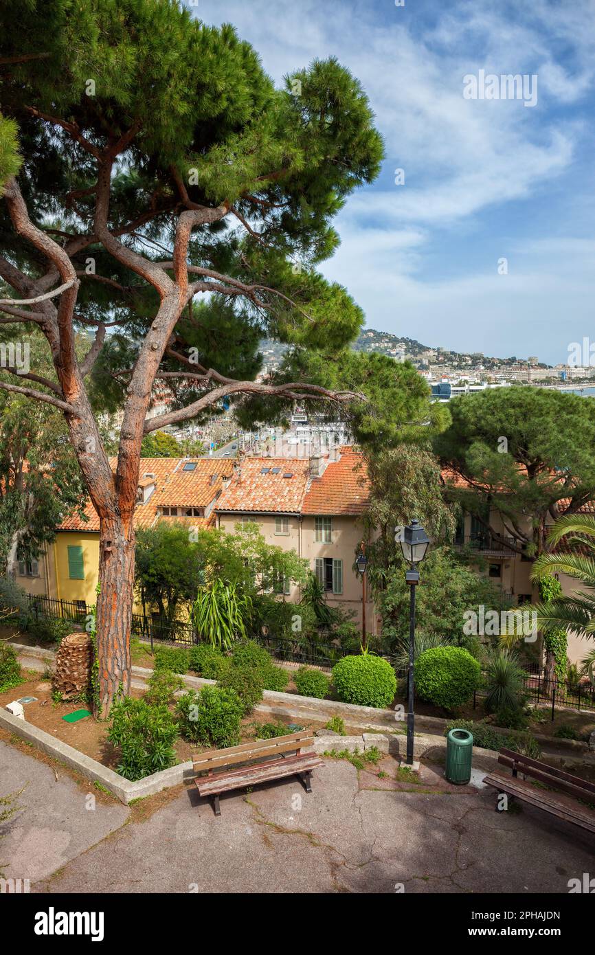 Old city pine hi-res stock photography and images - Alamy