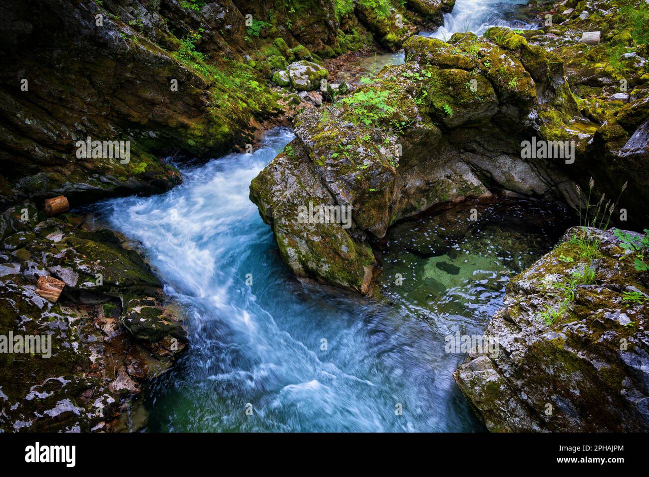 Scenic landscape with rapid mountain river Radovna flowing through ...
