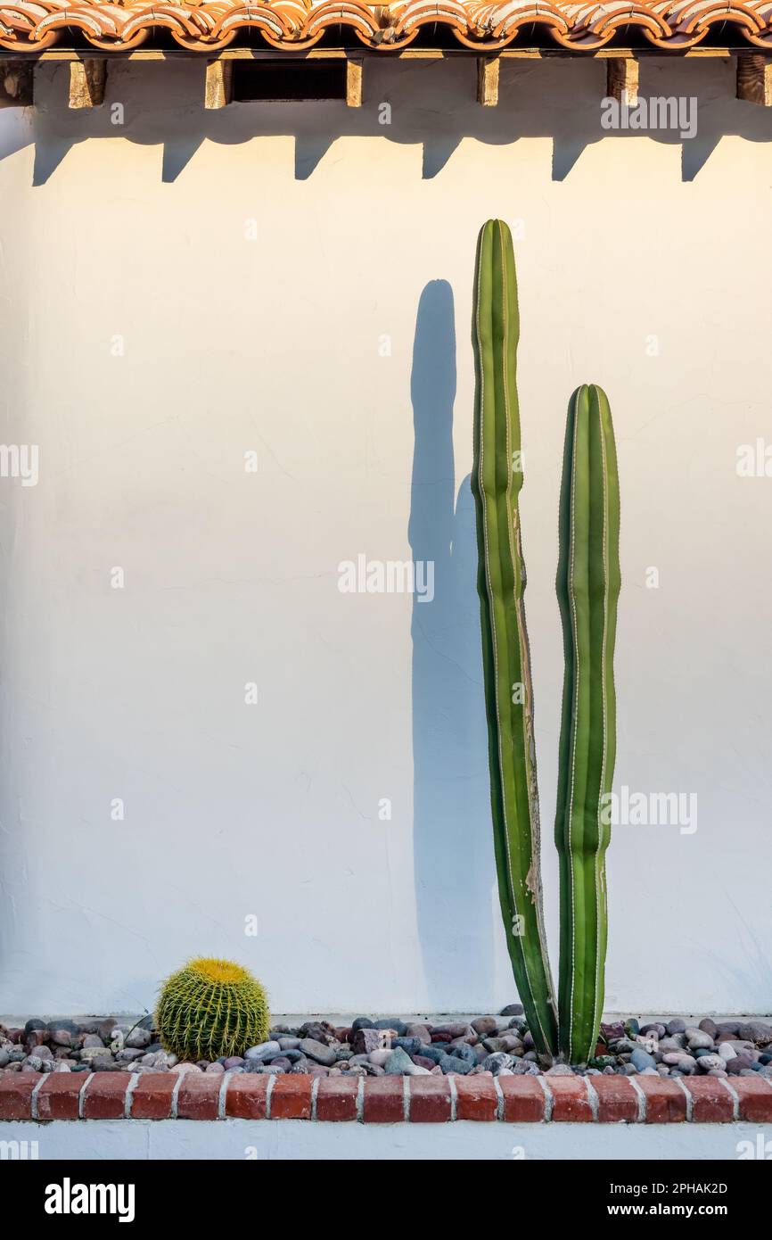 Cactus in a patio, mexican architecture house background Stock Photo ...