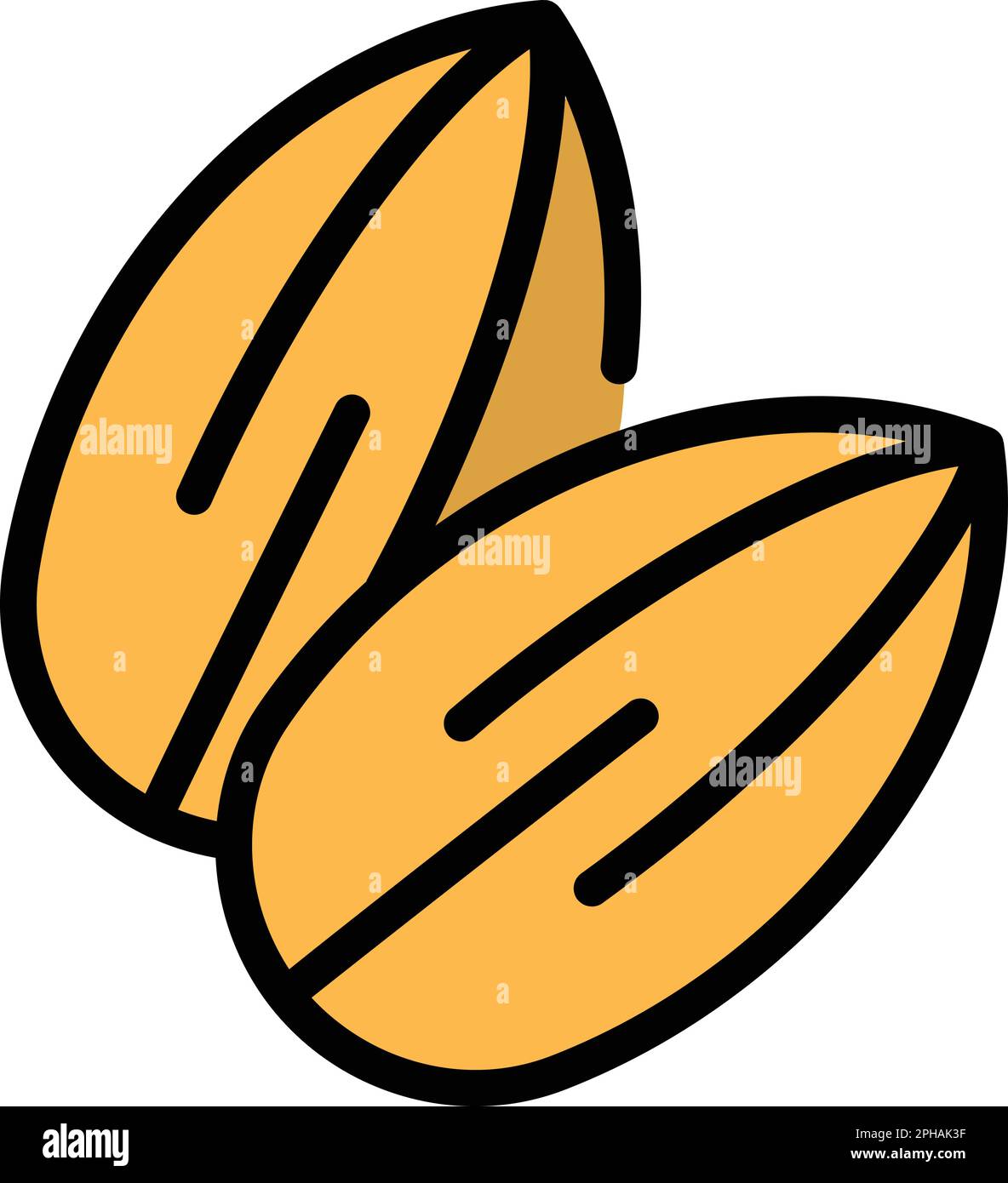 Almond protein icon. Outline Almond protein vector icon for web design ...