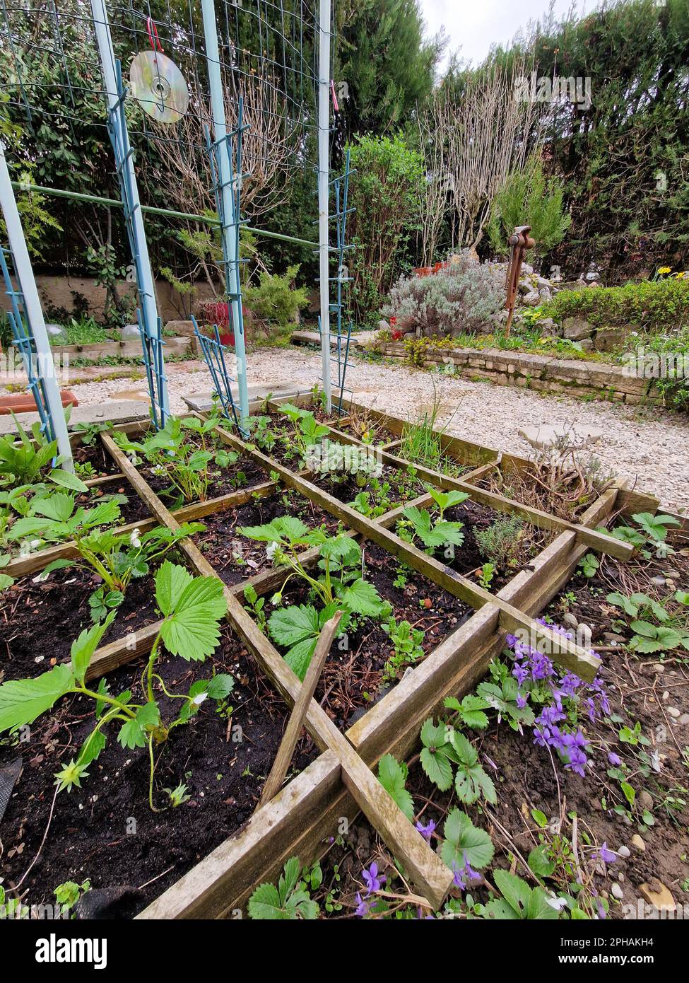 Early spring garden works, Bron, France Stock Photo - Alamy