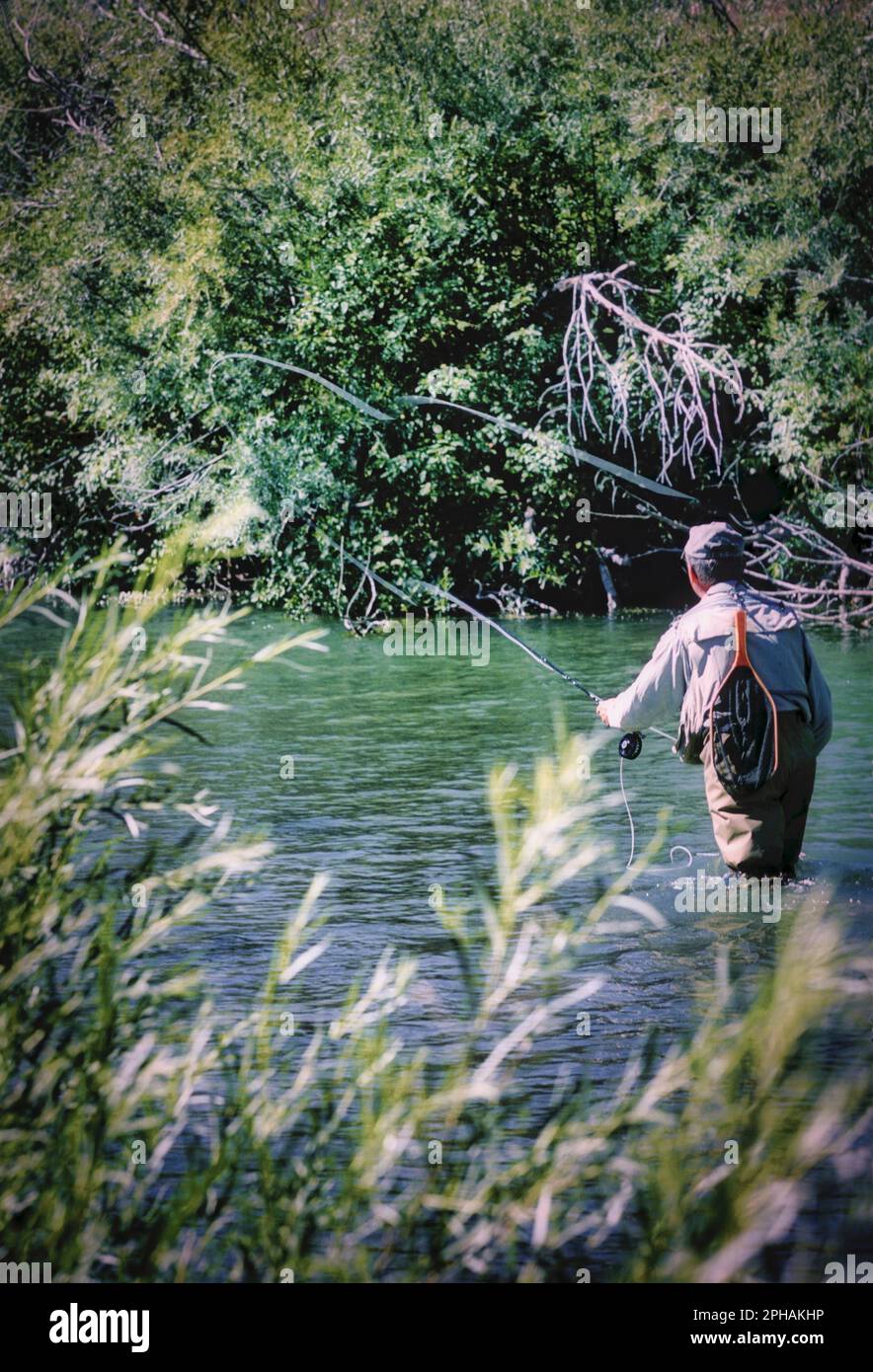 Fly fishing the Ruby River in Montana Stock Photo - Alamy