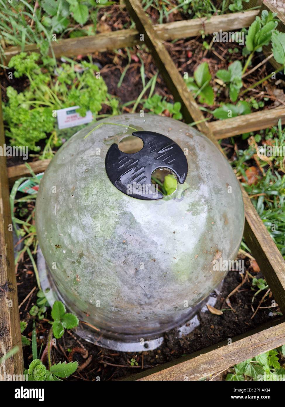 Early spring garden works, Bron, France Stock Photo - Alamy