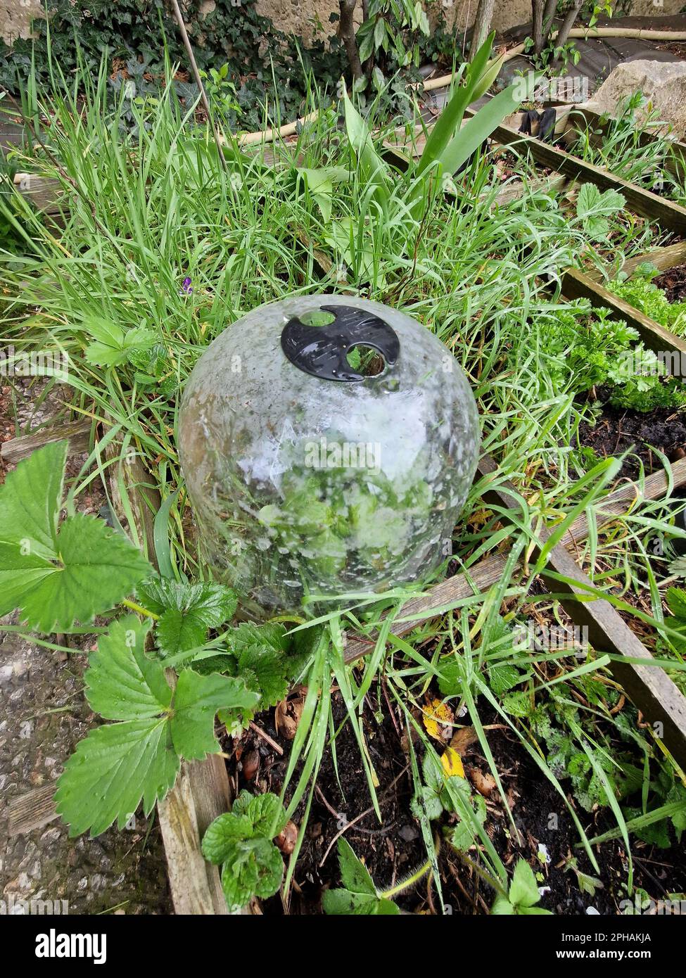 Early spring garden works, Bron, France Stock Photo - Alamy