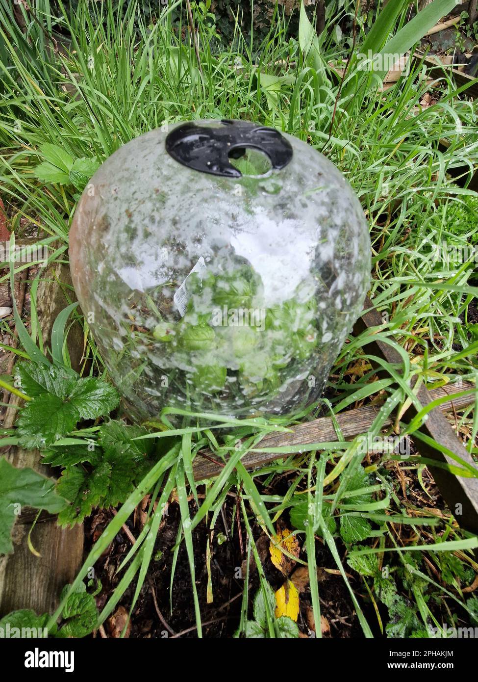 Early spring garden works, Bron, France Stock Photo - Alamy