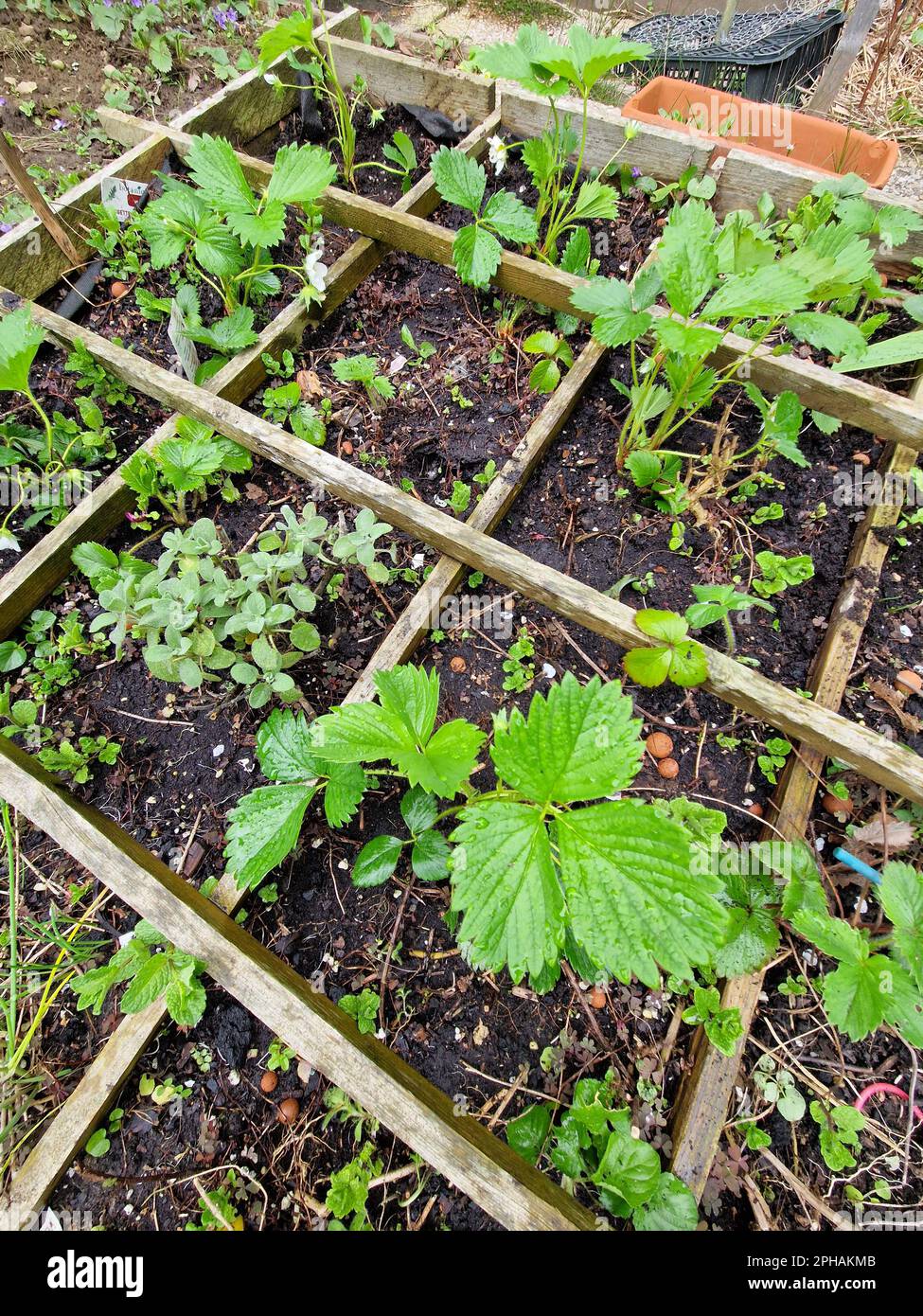 Early spring garden works, Bron, France Stock Photo - Alamy