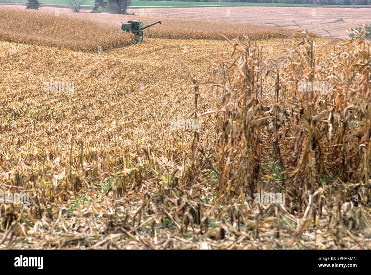 A farmer harvests corn with a combine during the late fall in Minnesota ...