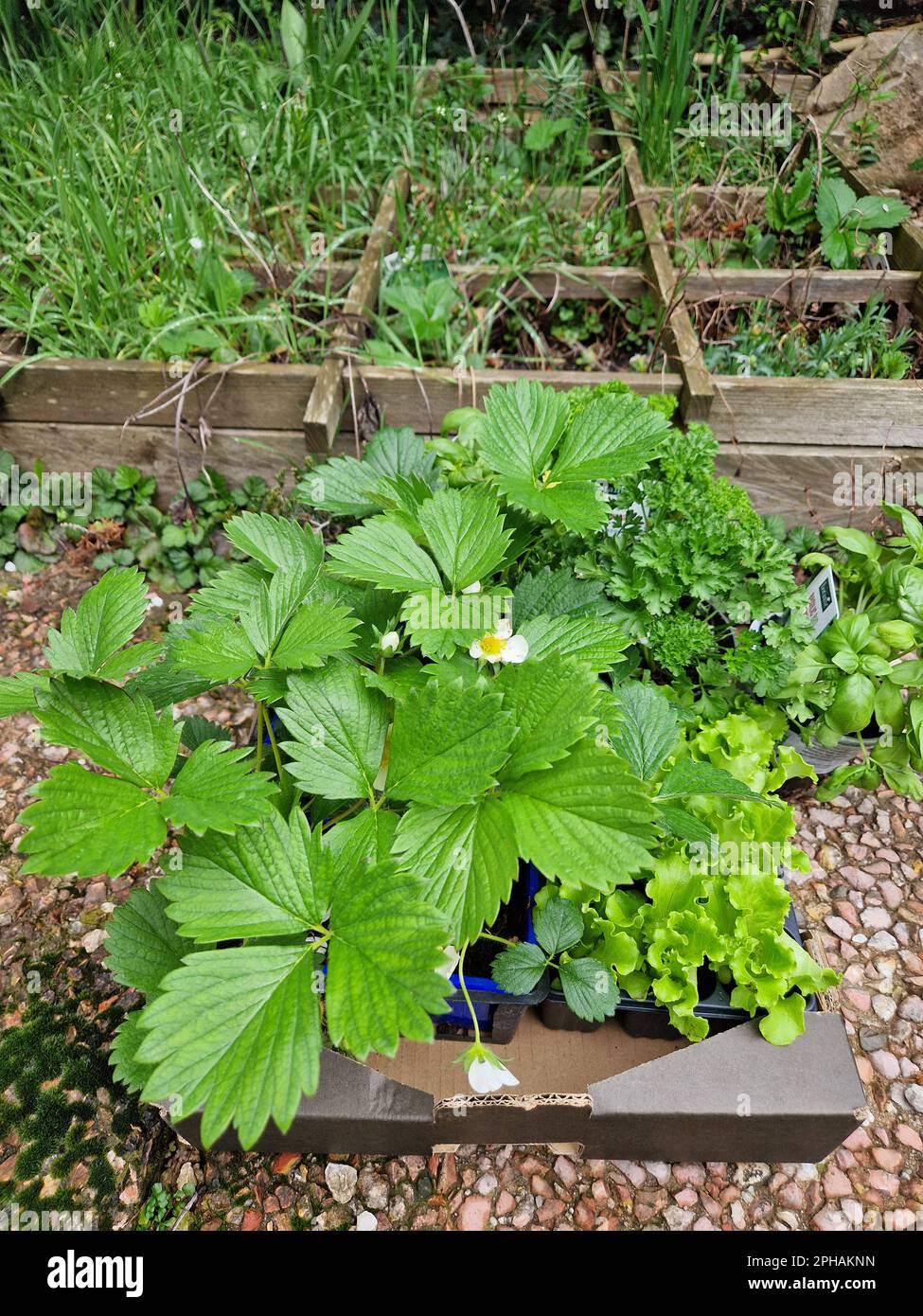Early spring garden works, Bron, France Stock Photo - Alamy