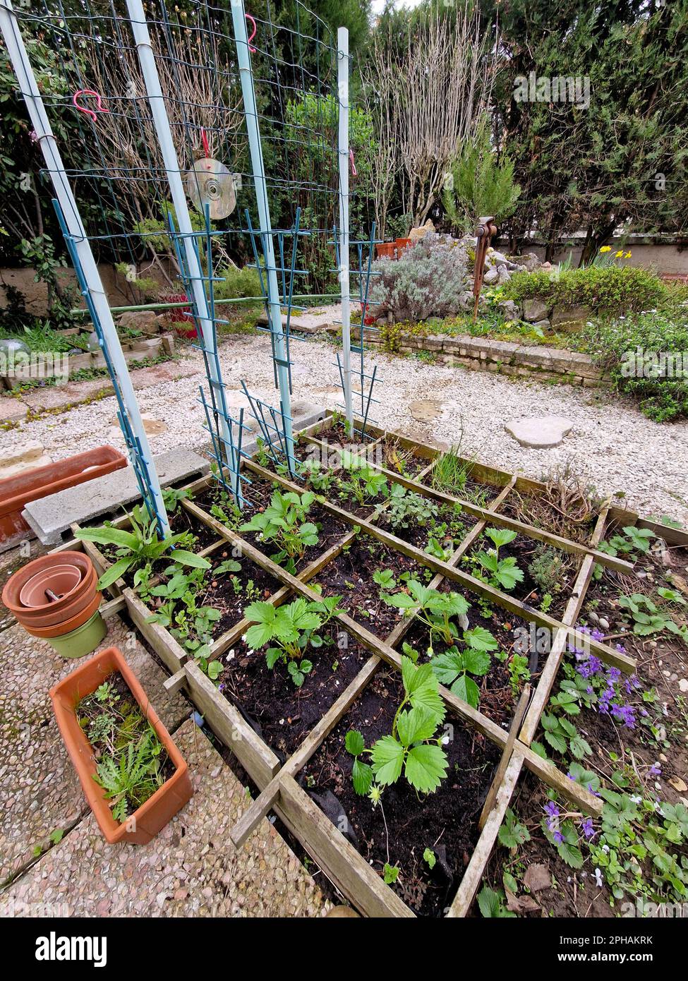 Early spring garden works, Bron, France Stock Photo - Alamy