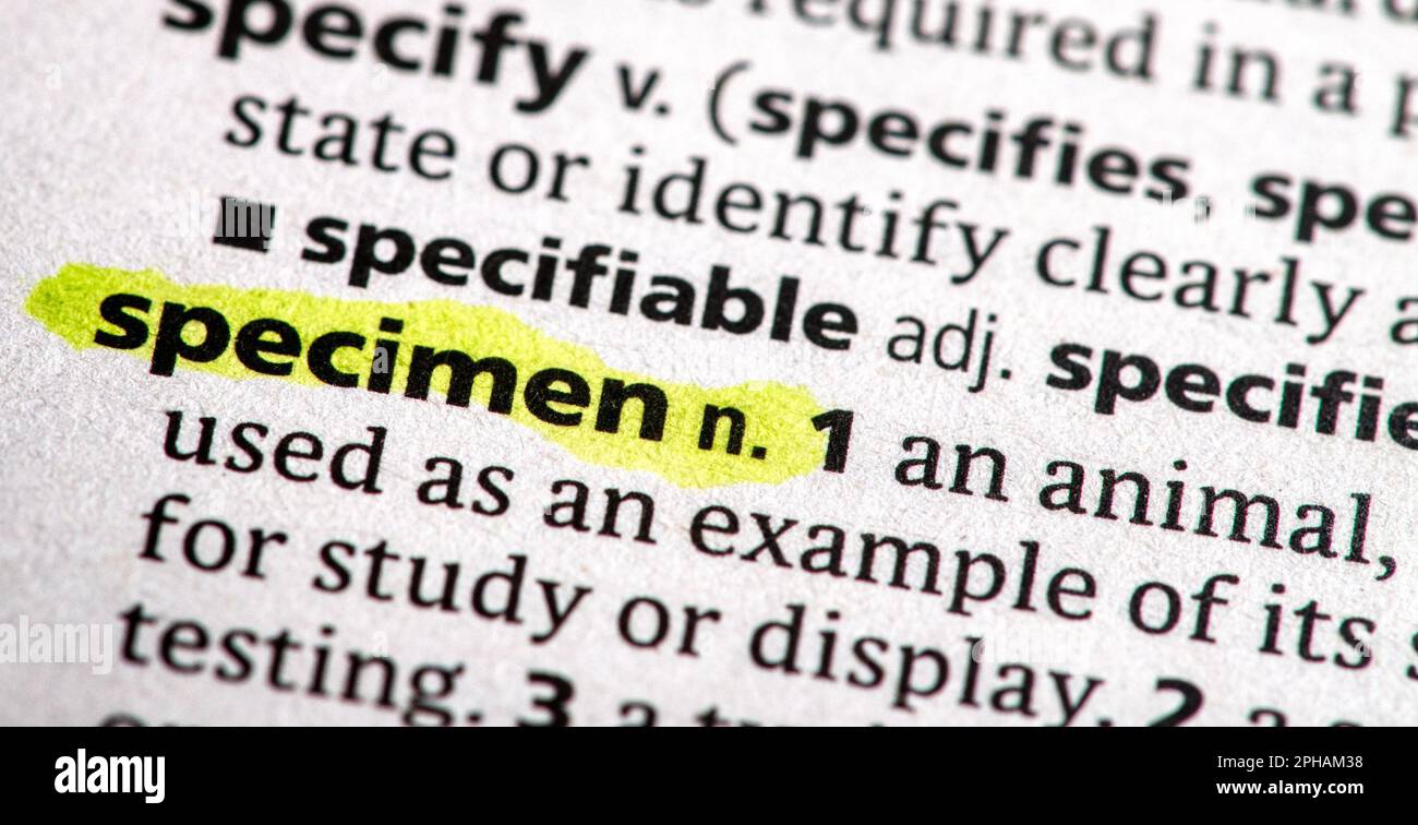 Speciman hi-res stock photography and images - Alamy