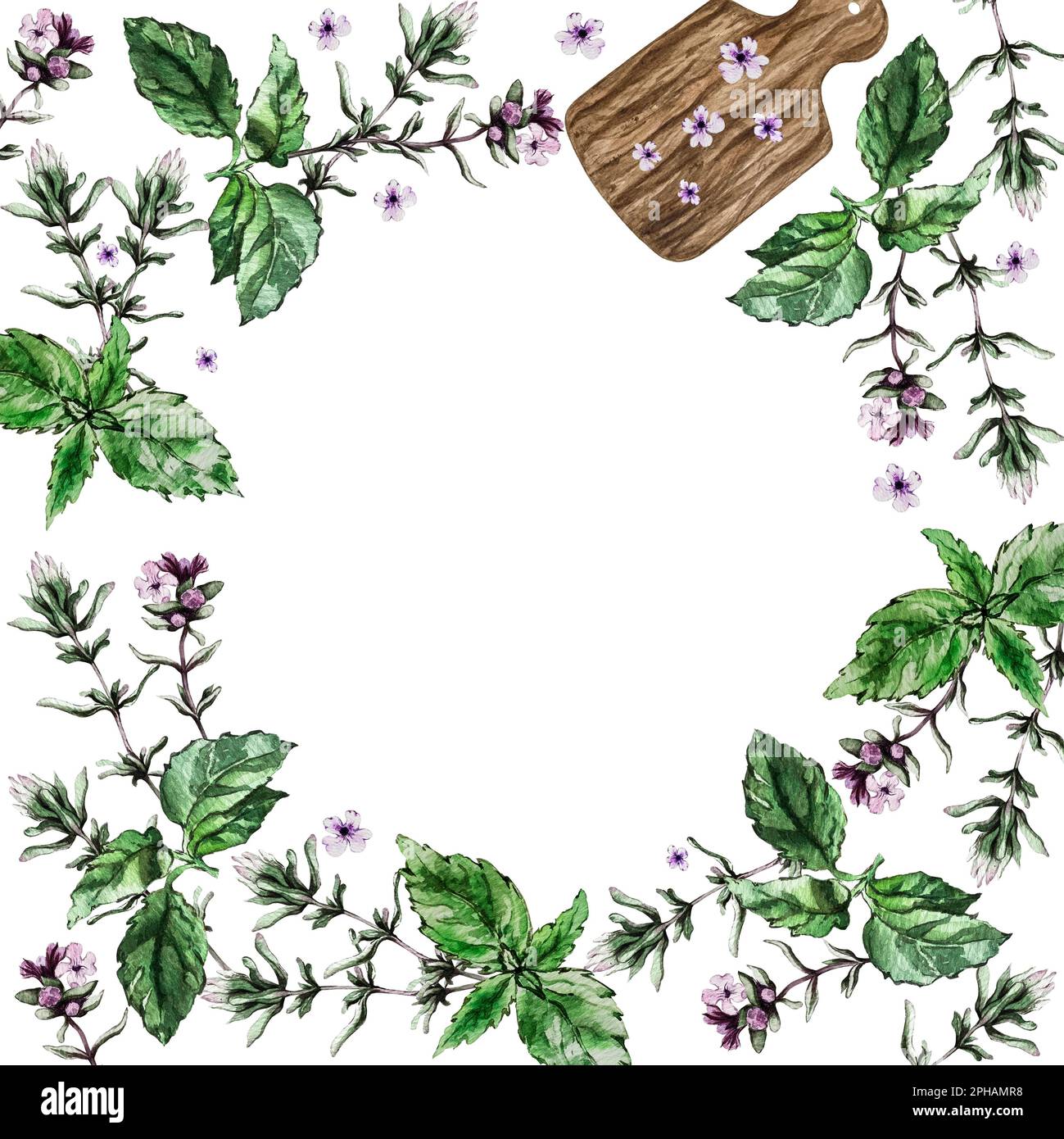 Thyme Borders And Frames