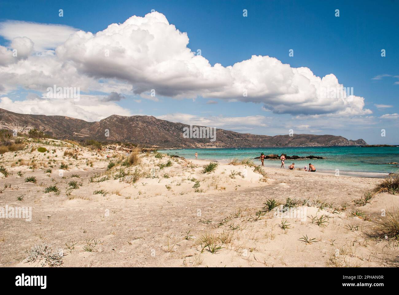 Elafonissi, in southwest of Crete,is famous for its pink sand and low ...