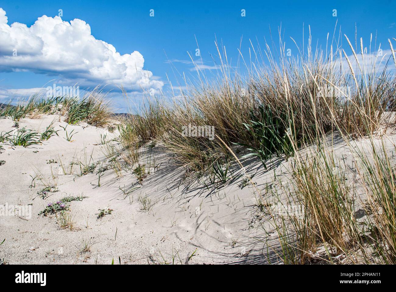 Elafonissi, in southwest of Crete,is famous for its pink sand and low ...