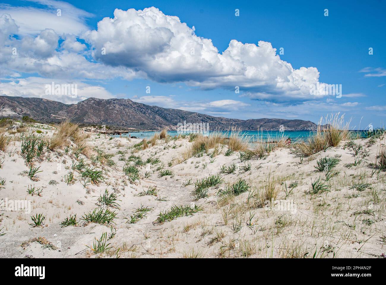 Visit elafonissi on the public service bus hi-res stock photography and ...