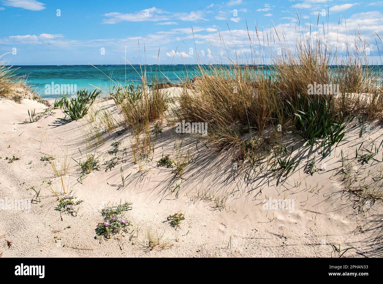 Elafonissi, in southwest of Crete,is famous for its pink sand and low ...