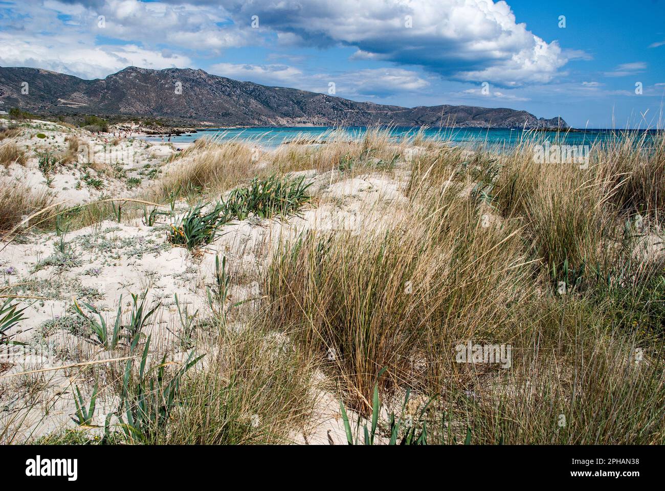 Elafonissi, in southwest of Crete,is famous for its pink sand and low ...