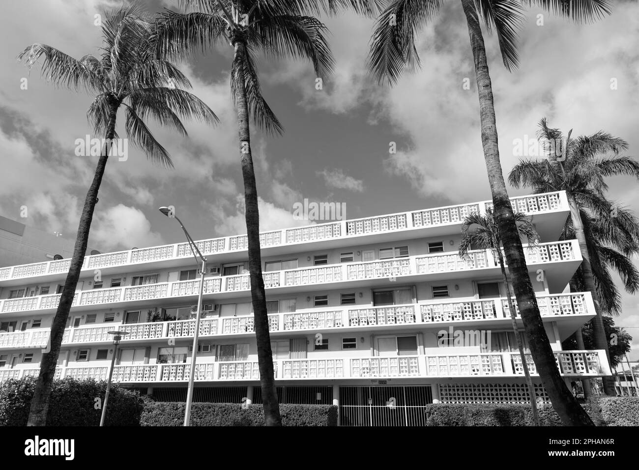 residential building with palms for summer vacation Stock Photo - Alamy