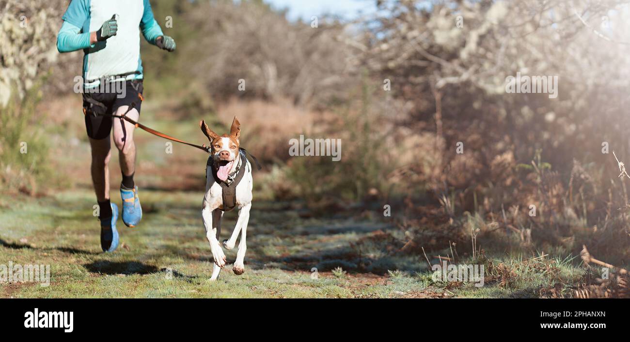 Dog and its owner taking part in a popular canicross race. Canicross ...