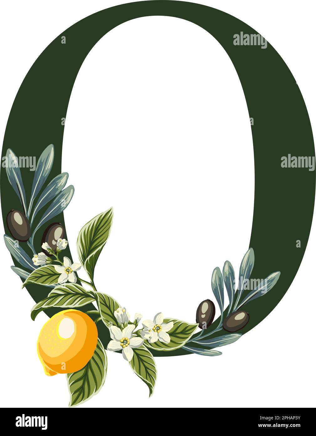letter O from Alphabet with lemons and olive branches illustration ...