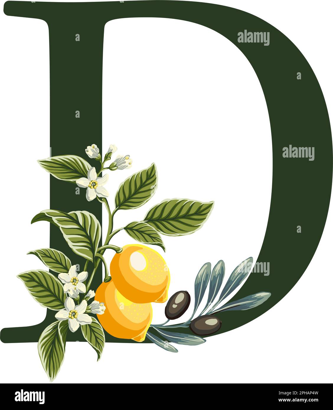 letter D from Alphabet with lemons and olive branches illustration ...